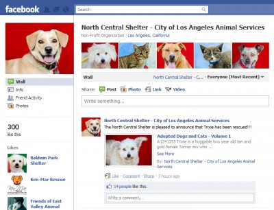 North Central Animal Shelter’s new Facebook page – Echo Park Now